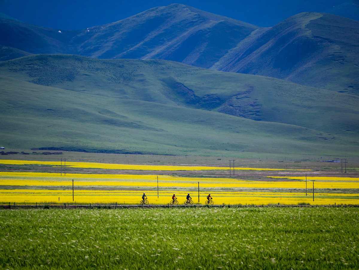 Bike Channel, Tour of Magnificent in diretta | BikeChannel